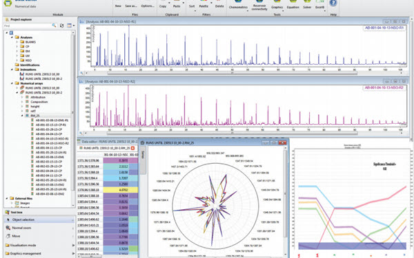 Schlumberger Software