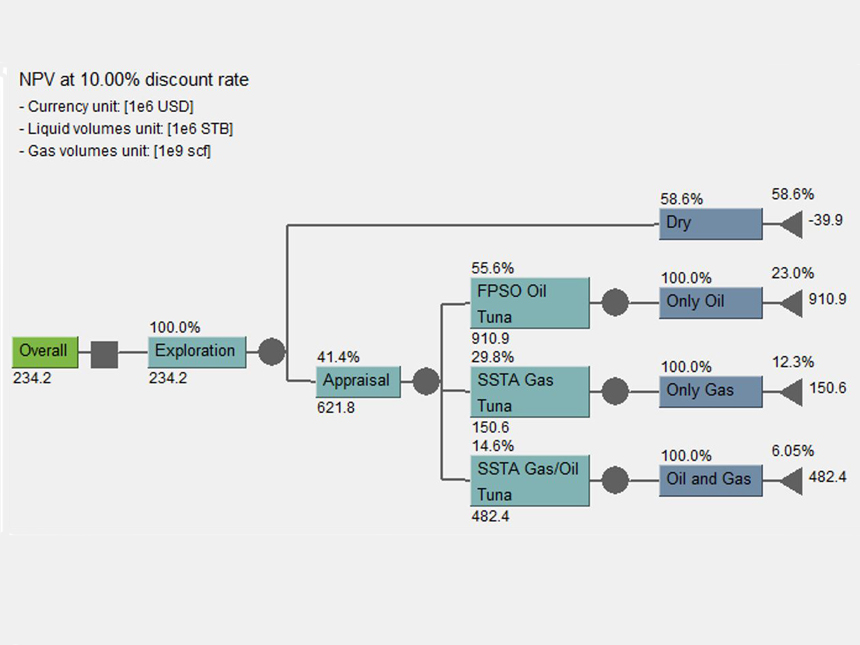 GeoX Software Value Assessment